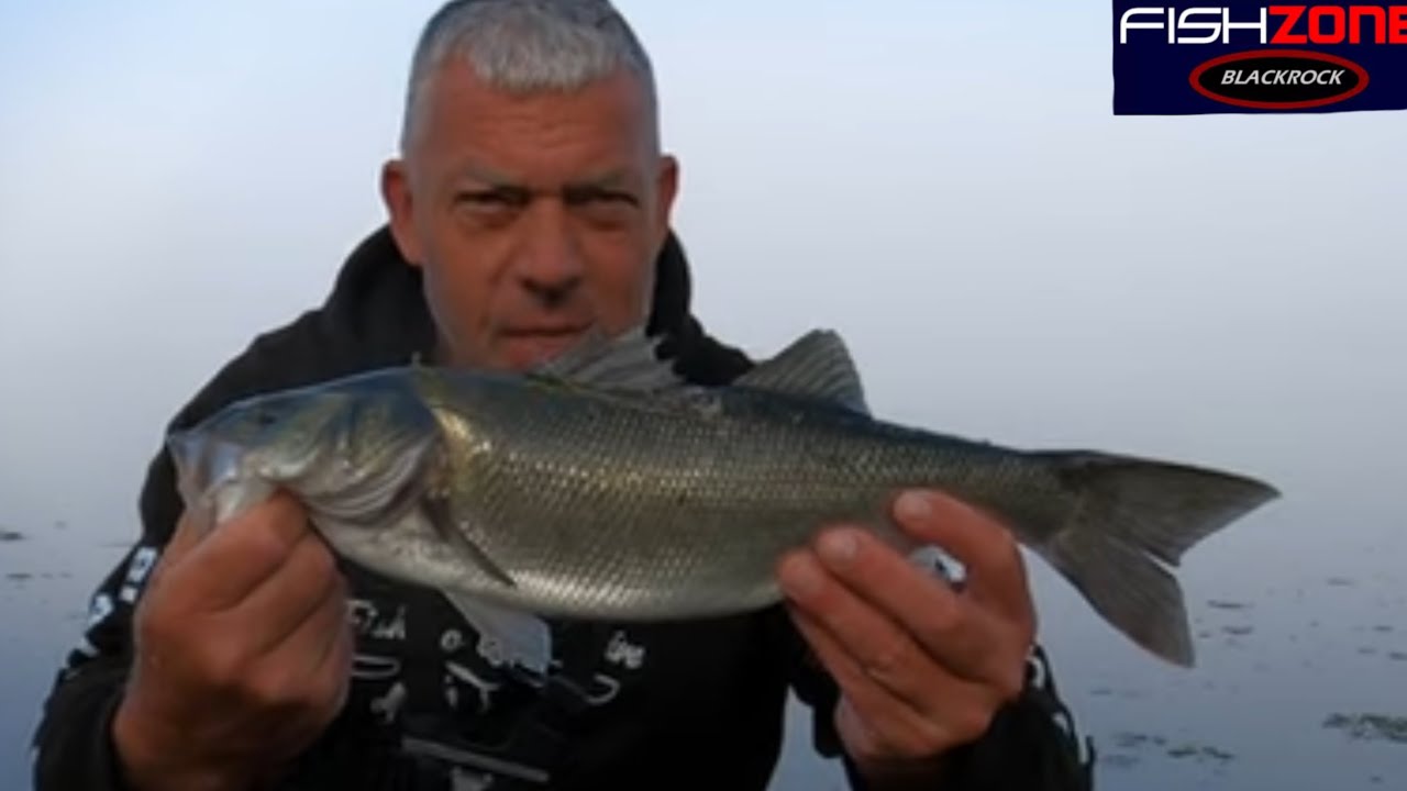 BASS FISHING IN THICK FOG - poole harbour on lures - - YouTube
