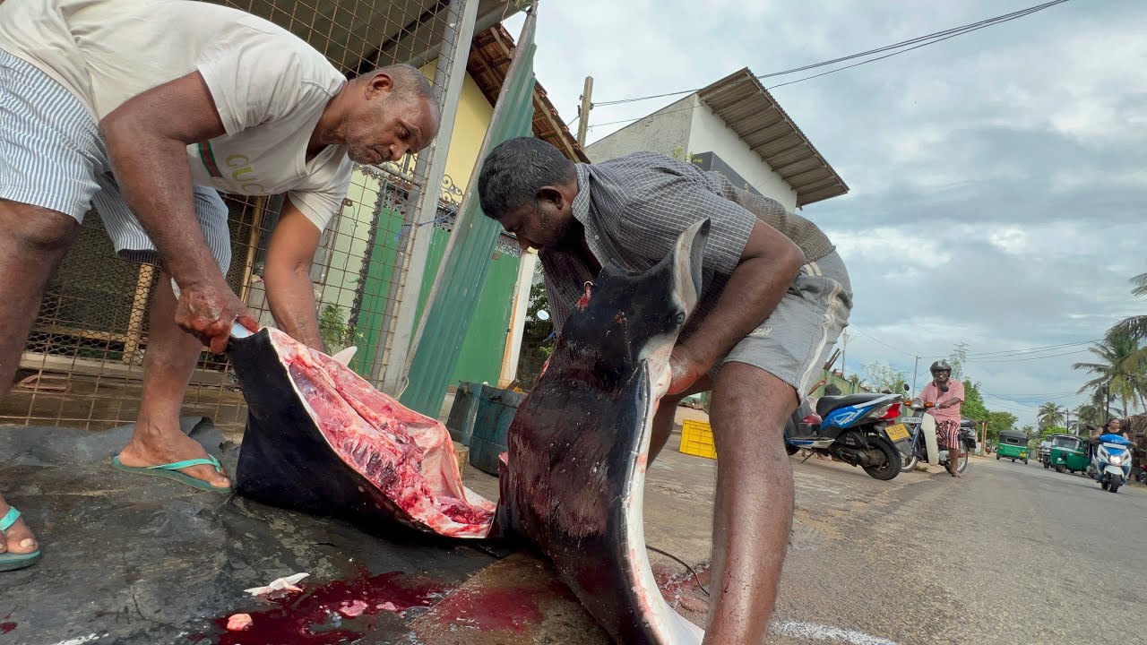 😱Stingray Butchering Like You’ve Never Seen Before – Street Fish Market ...