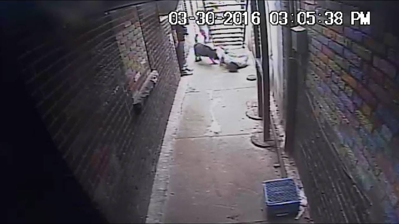 Video shows officer sic police dog on prone suspect - YouTube