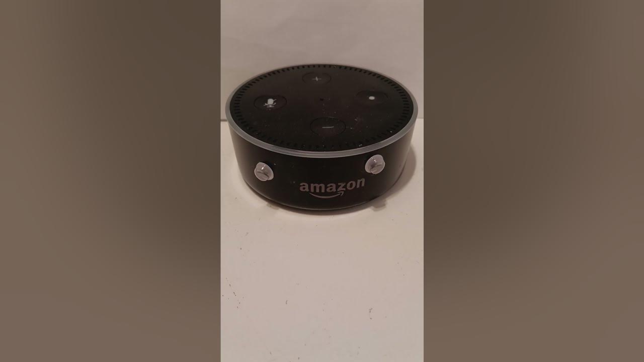 Odd things your Alexa can do (part 3) #alexa - YouTube