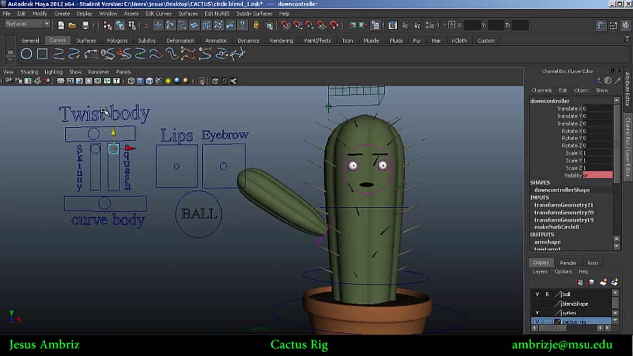 cactus rig - YouTube