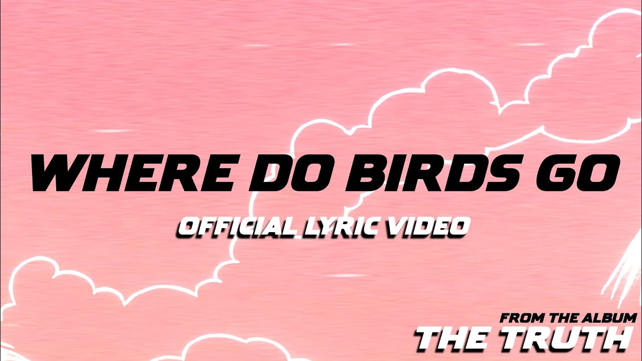 Stephen Cuthbert - Where Do Birds Go (official lyric video) - YouTube