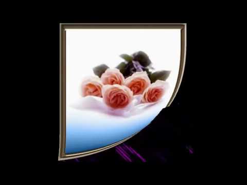 ADINI SEN KOY  Şiir SATILMIŞ GÜVEN  Yorum YILDIZ ÖZCAN