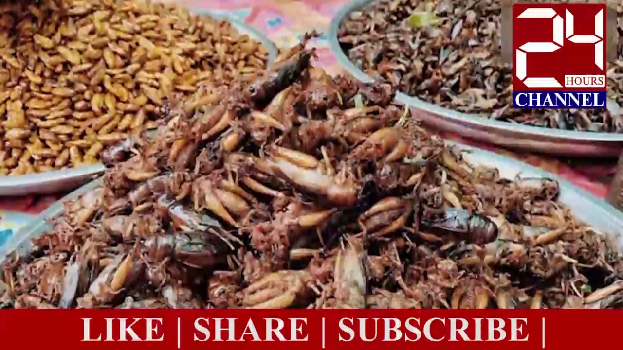 Tiddi Dal Locust Attack In Pakistan 24 Hours Channel YouTube tiddi-dal-locust-attack-in-pakistan-24-hours-channel-youtube