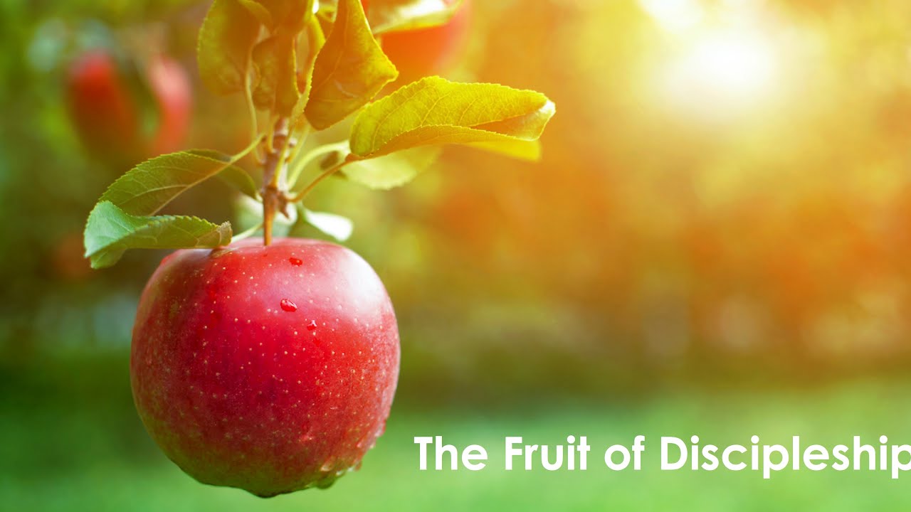 The Fruit of Discipleship - YouTube