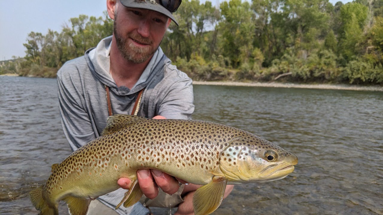 Teton Valley Lodge Guide - Chris Scott - YouTube