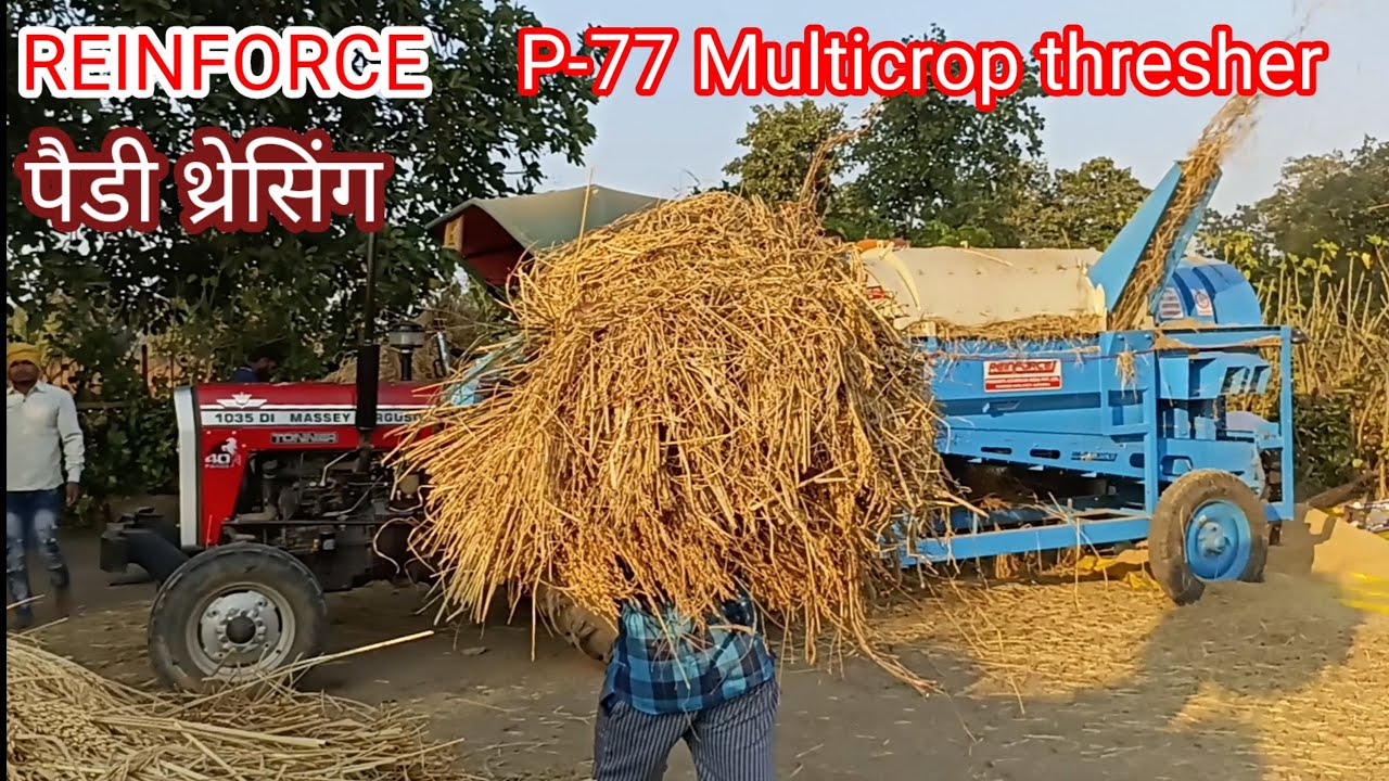 Paddy threshing | पैडी थ्रेशर | Paddy threshing by P-77 Multicrop ...