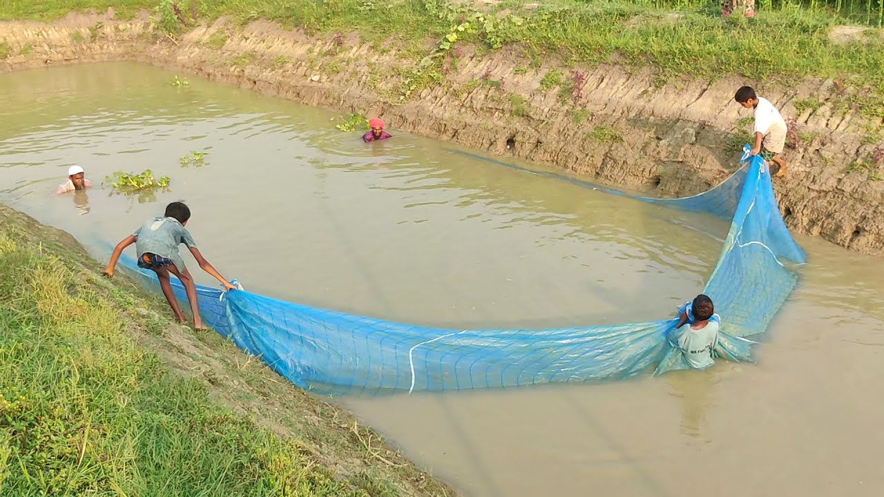 Amazing fishing in village | Traditional net fishing video in village ...