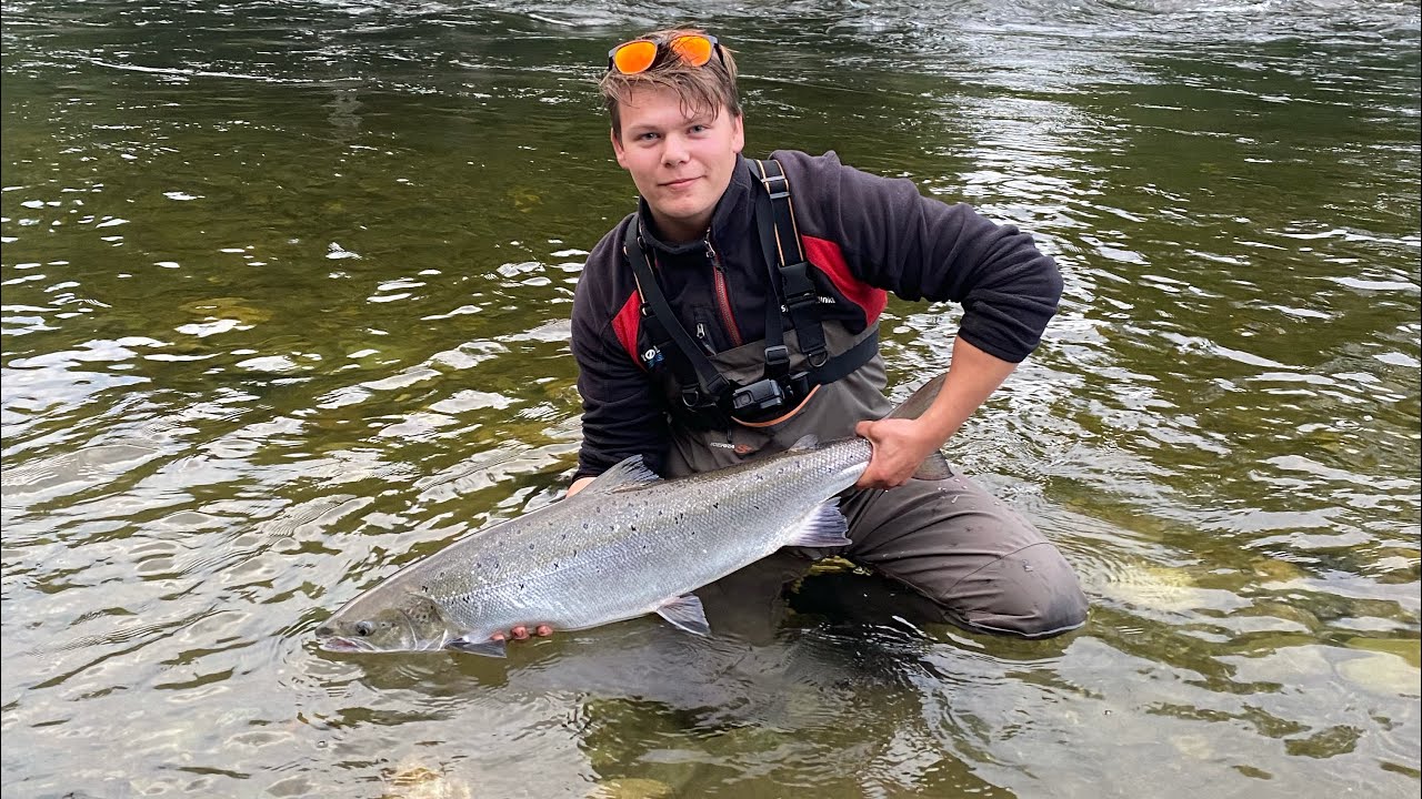 laksefiske i gaula (highlights) - YouTube
