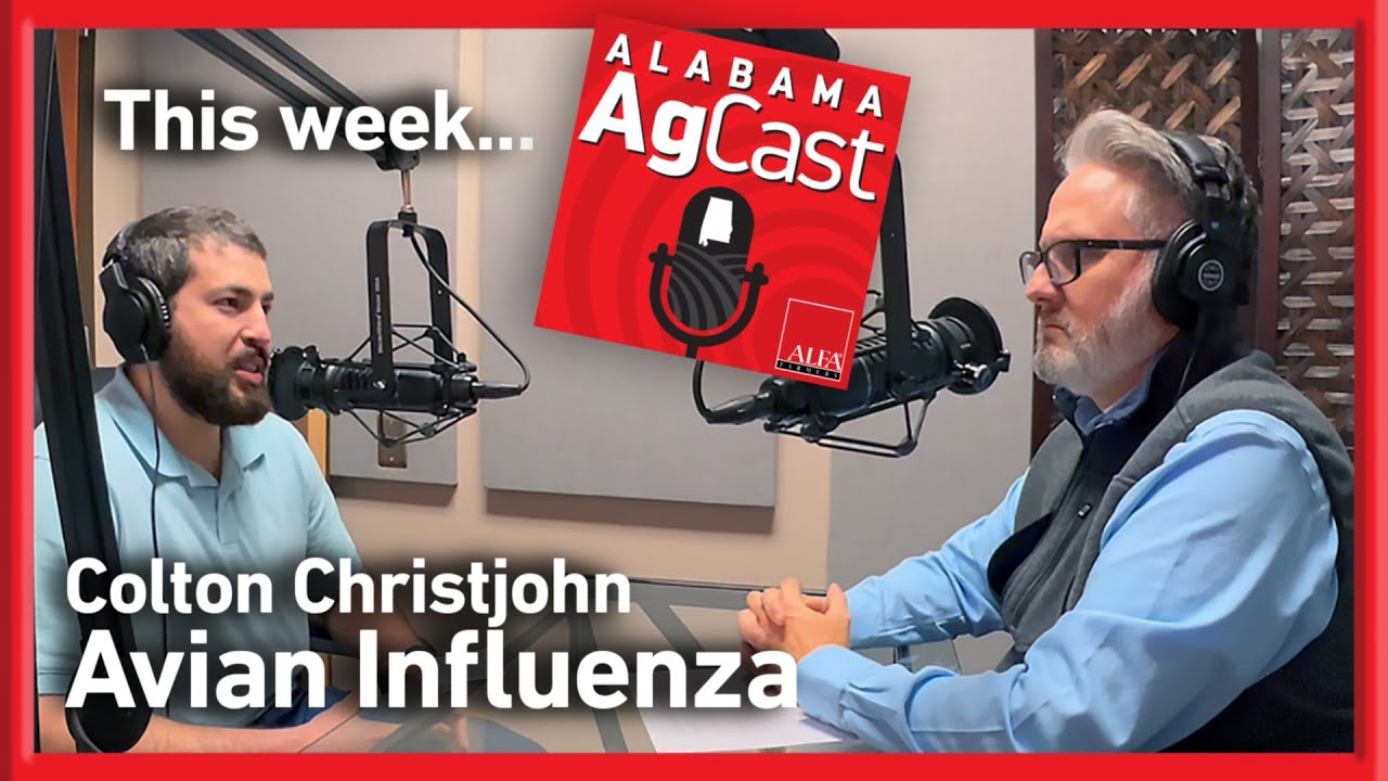 Alabama AgCast: Avian Influenza with Colton Christjohn - YouTube