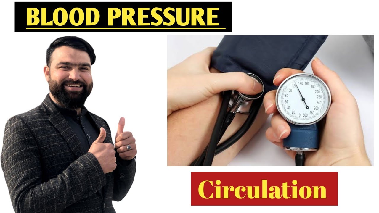 Blood Pressure|| Types Of BP|| Circulation || class 11 - YouTube