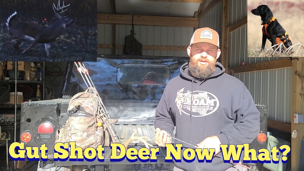 Gut Shot Deer | KOAM Outdoors Strategies - YouTube