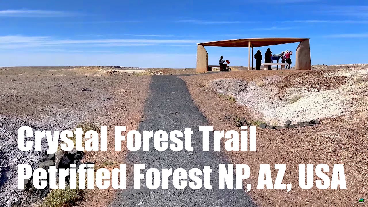 📹 4K HDR 60FPS | 🚶 Full Hike | 🏜️ Crystal Forest Trail, Petrified ...