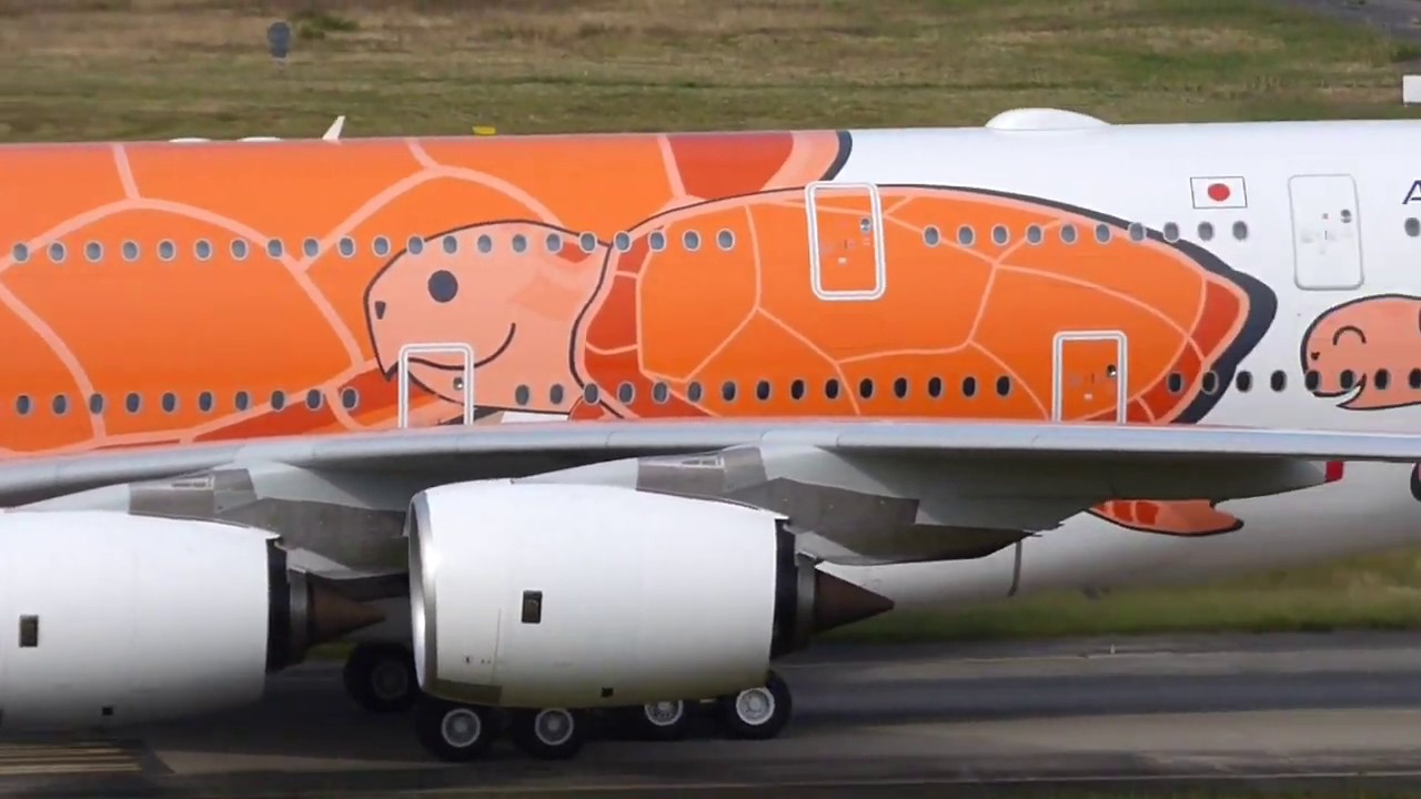 A380 ANA Orange Turtle Livery - F-WWAL - AIB07AL - Check-Flight ...