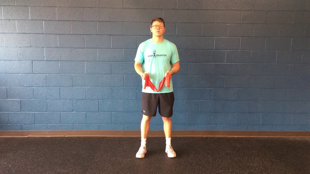 Banded Reverse Fly - YouTube