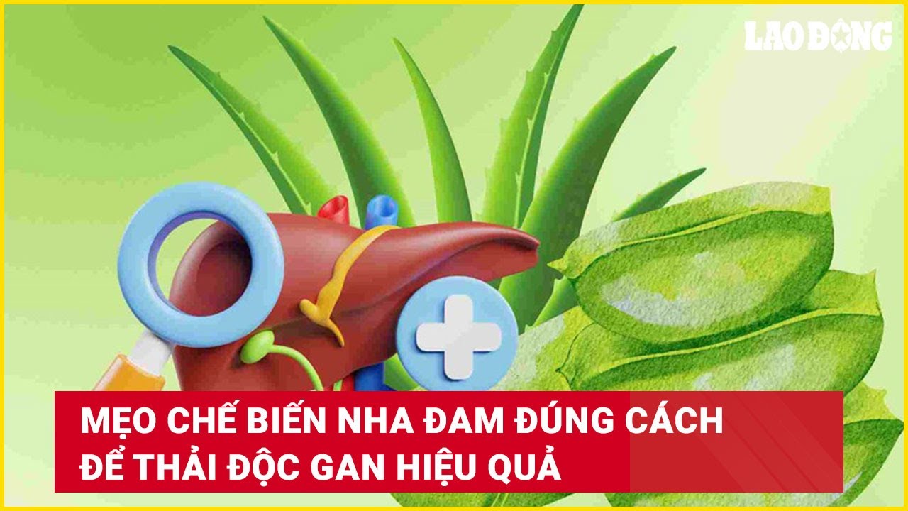 Mẹo chế biến nha đam đúng cách để thải độc gan hiệu quả | Báo Lao Động ...