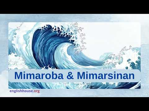 Mimaroba & Mimarsinan