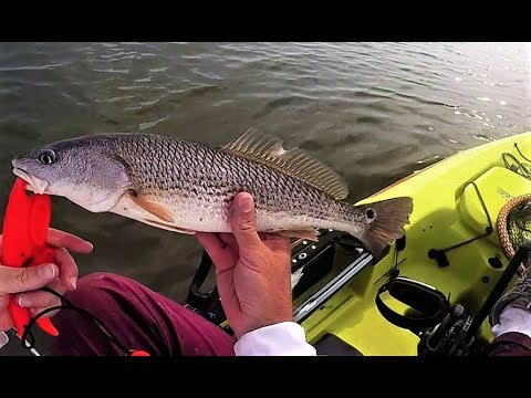 Tossing Gulp at da' beach! | Part 2 - YouTube