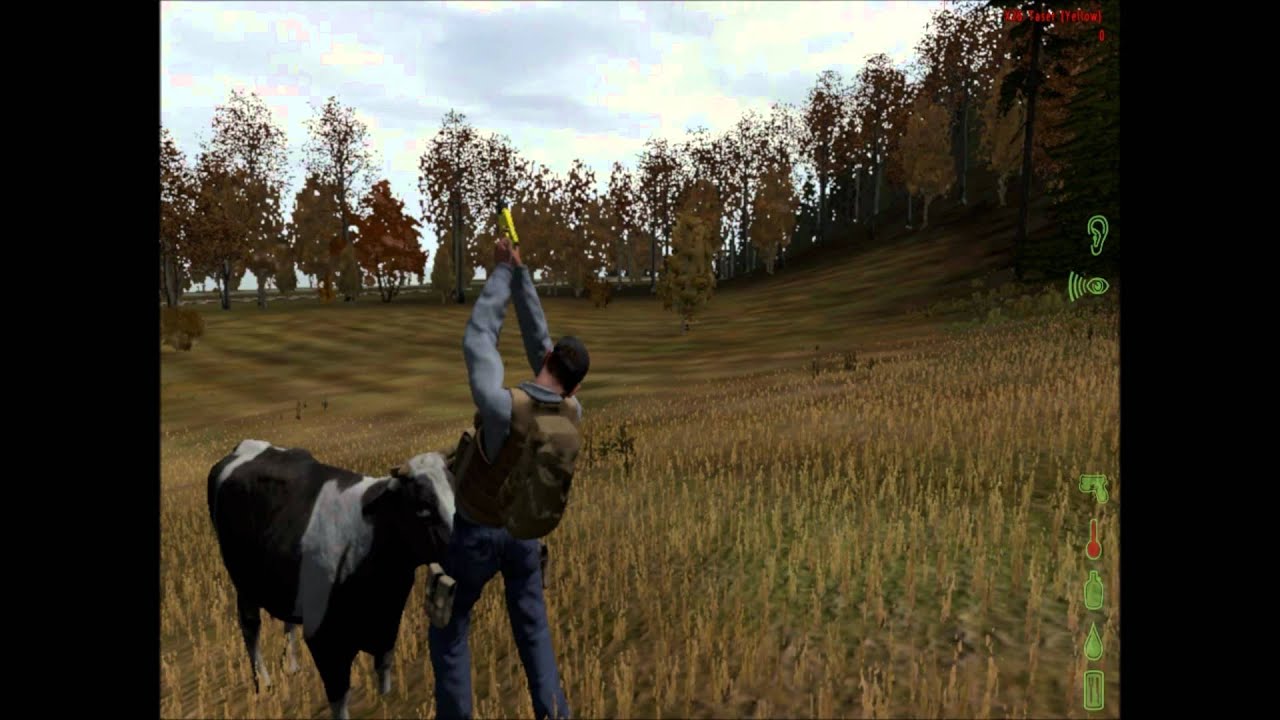 DayZ: Cow abuse - YouTube