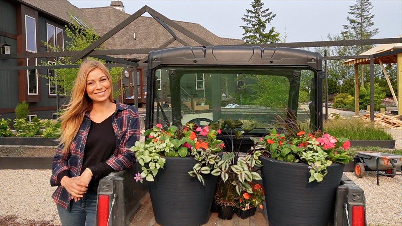 Container Garden Recipe for Shade | Surprise Plant Delivery & Healthy ...