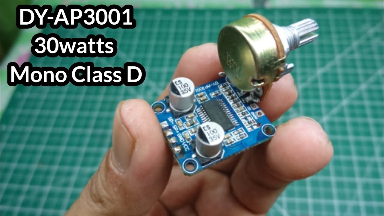 review amplifier DY-AP3001 30W Mono Class D - YouTube