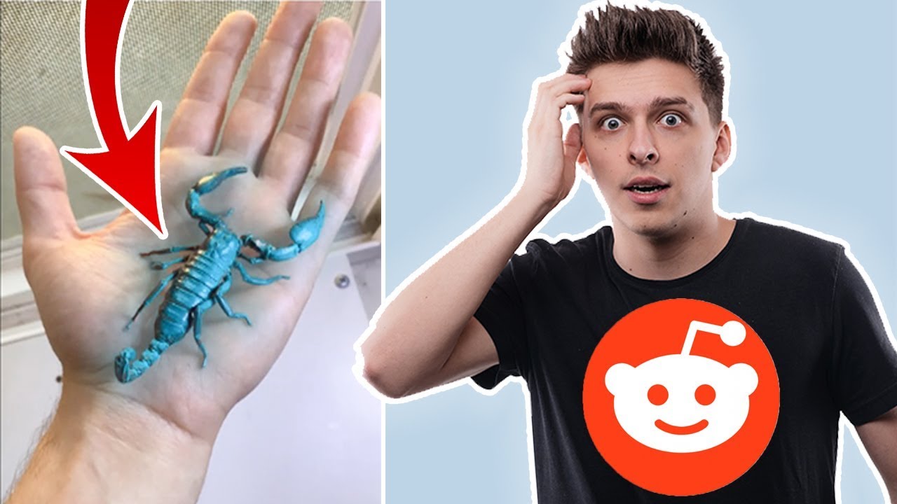 TOHLE VIDEO VÁS ZNERVÓZNÍ! - YouTube