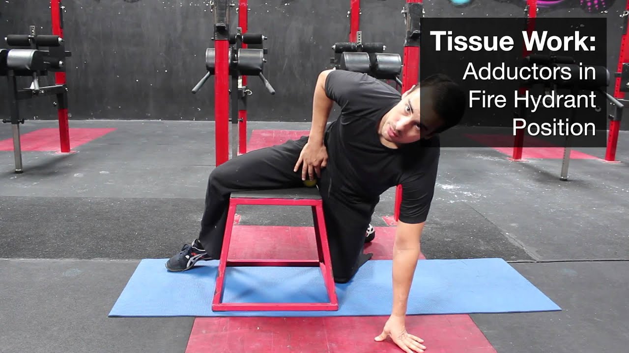 Tissue Work: Adductors in Fire Hydrant Position - YouTube