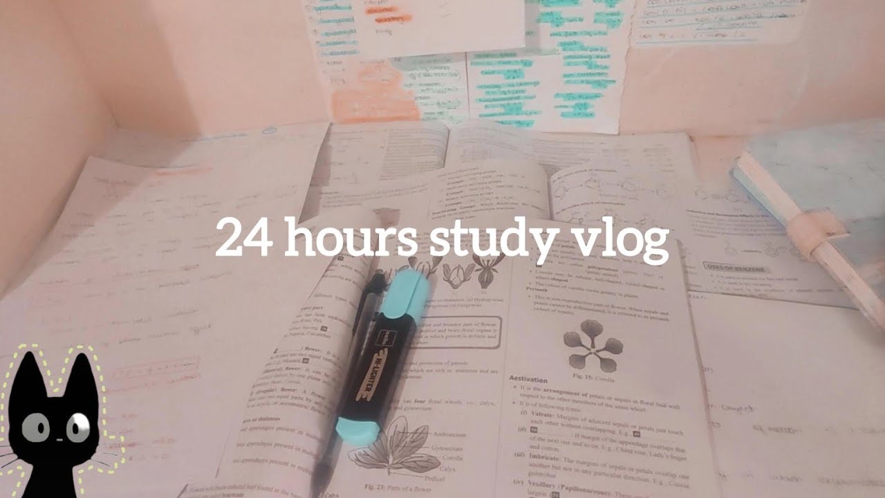 studying 24 hours as a teenager 🍃📑 - YouTube
