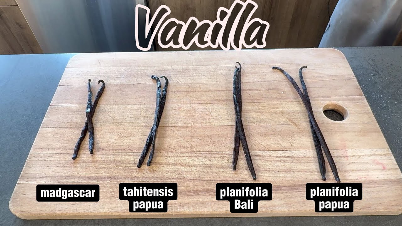 Vanilla tasting!!! Which is best ? (ingredient exploration series ep. 3 ...