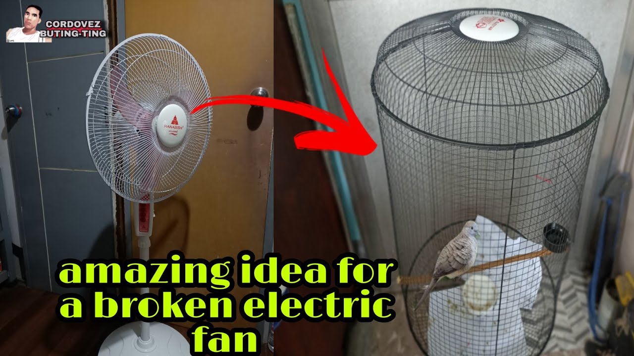 DIY Paano gumawa ng kulongan ng ibon,gamit ang sirang electric fan ...
