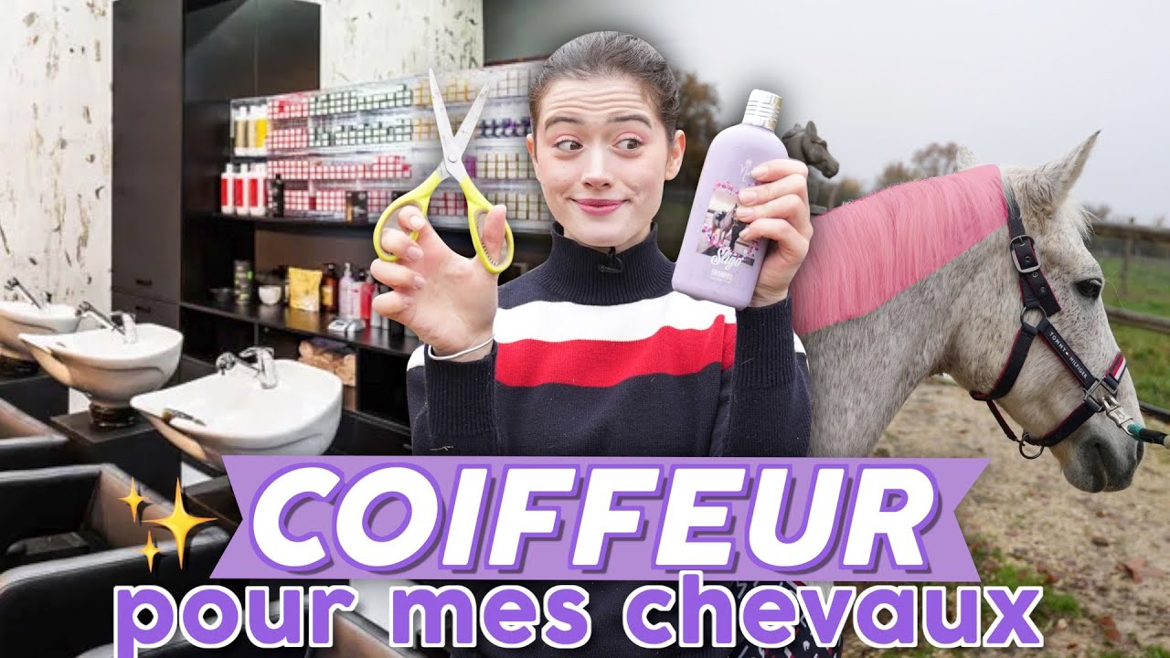 MON SALON DE COIFFURE POUR CHEVAUX 💇🏻‍♀️ teinture et coupe de la ...