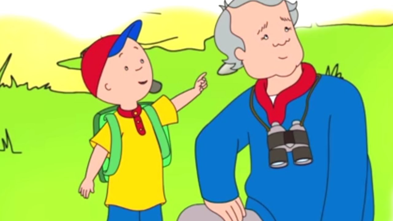 Caillou en Español - Caillou y la Expedición | Dibujos Animados ...