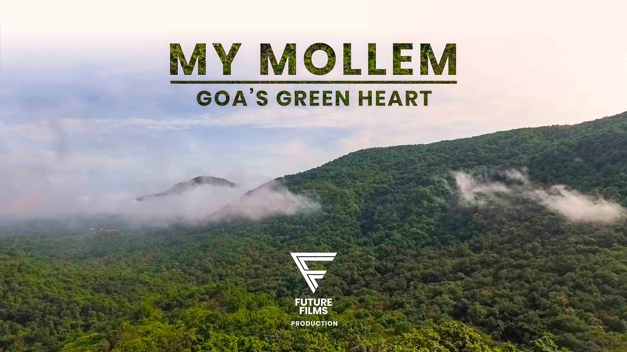 'My Mollem : Goa’s Green Heart' : Goans Fight to Save Their Forest and ...