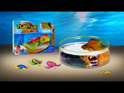Robo Turtle - YouTube