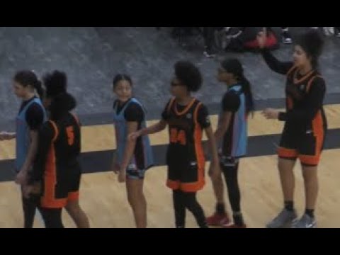 Team Takeover 2029 vs Elevate Elite (Jan. 4th, 2025) Girls Select ...