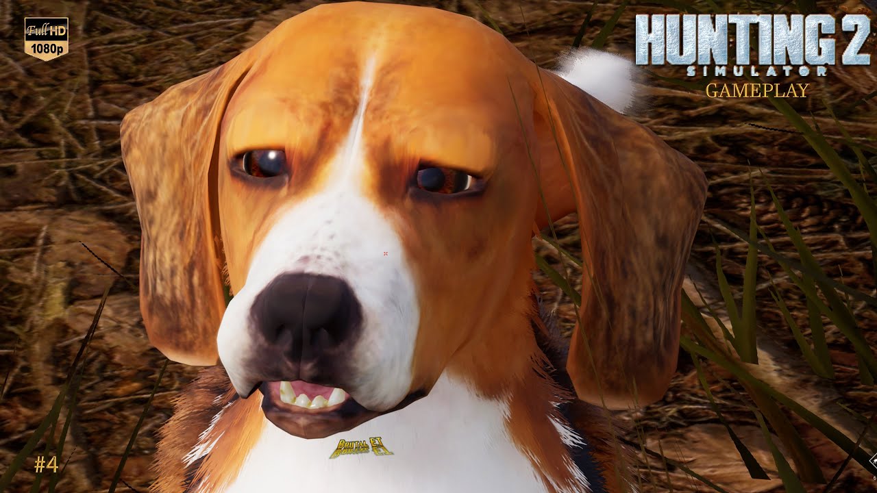 HUNTING SIMULATOR 2 GAMEPLAY #4 [BETA-TEST] UNE CHASSE DE LONGUE ...
