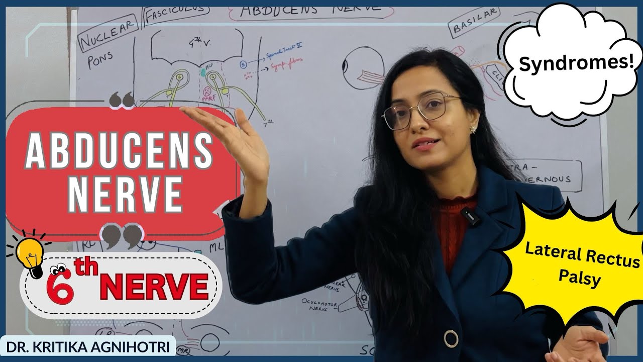 Abducens Nerve | Sixth Nerve | Course and Syndromes | Lateral Rectus ...