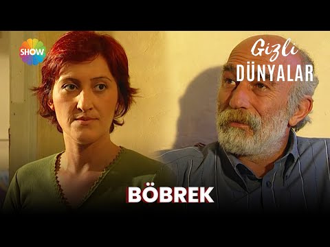 Gizli Dünyalar | Böbrek (FULL HD)