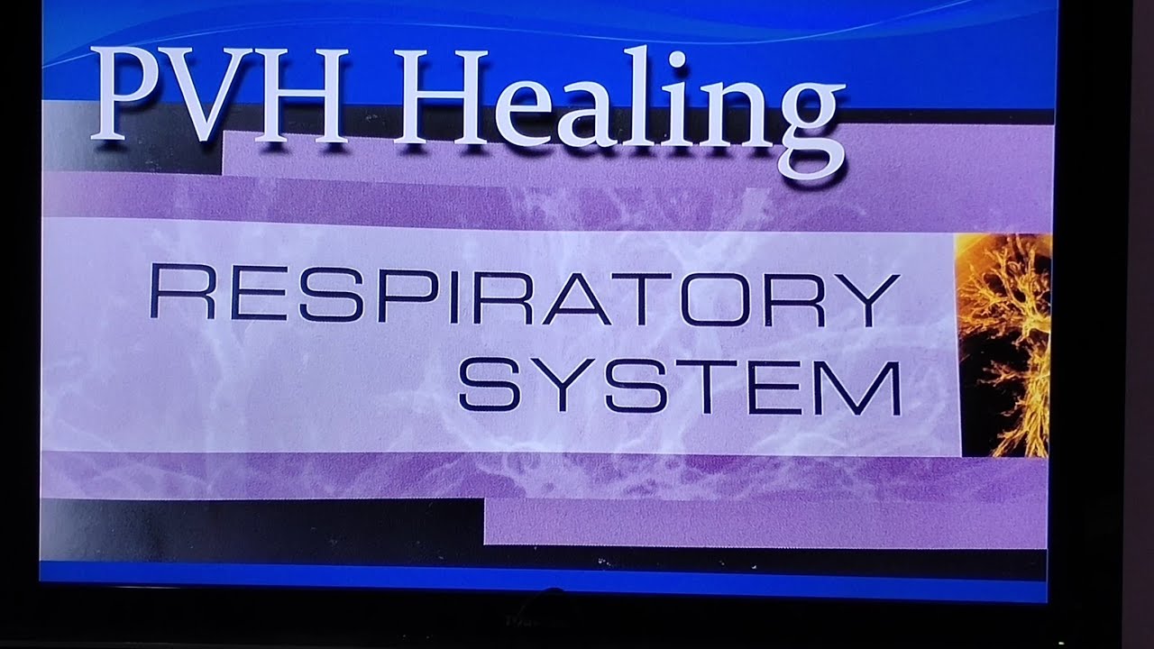 PVH Healing Respiratory System - YouTube