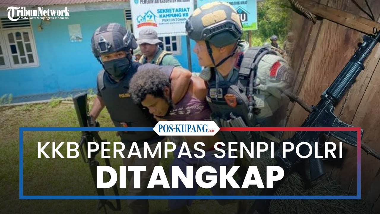 Polisi Tangkap Anggota KKB Perampas Senpi Polri di Ilaga - YouTube