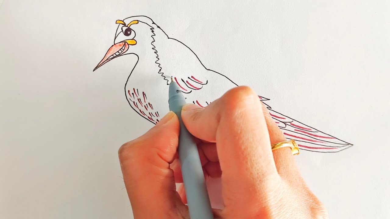 How to draw a angry Bird/ Easy angry Bird drawing step by step tutorial ...