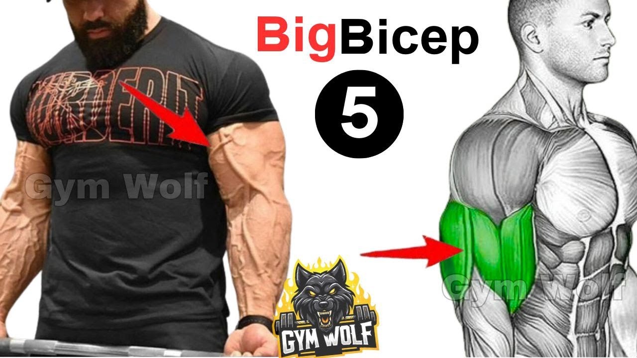 Best 5 Bicep Workout For Huge Bicep In 30 Days - YouTube