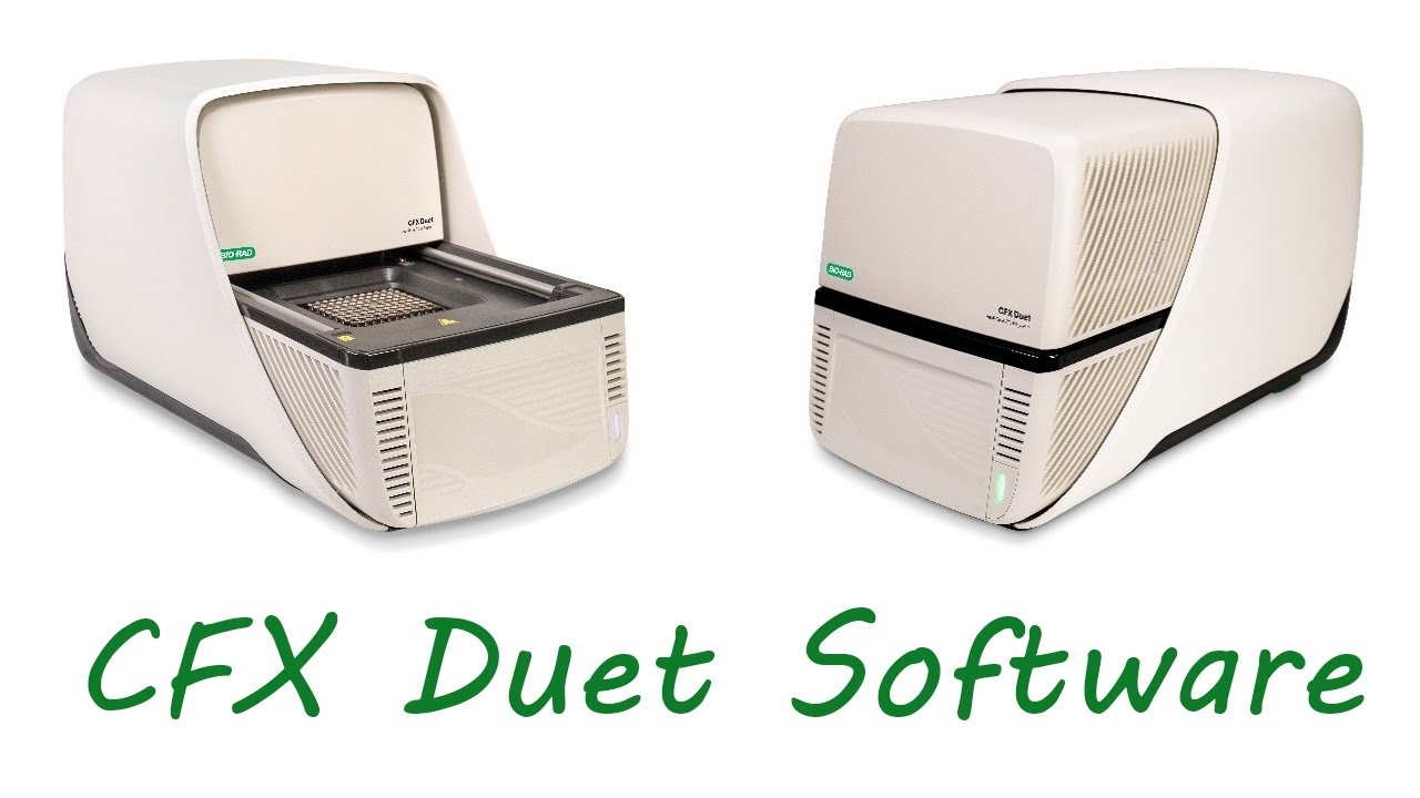 RT PCR CFX Duet Software - YouTube