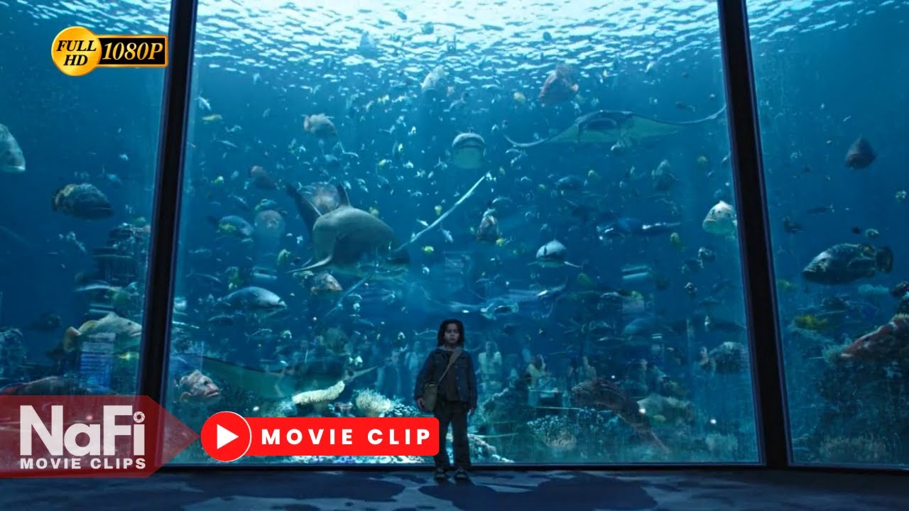 HE IS TALKING TO THE FISH - AQUAMAN| NaFi MOVIE CLIP HD - YouTube