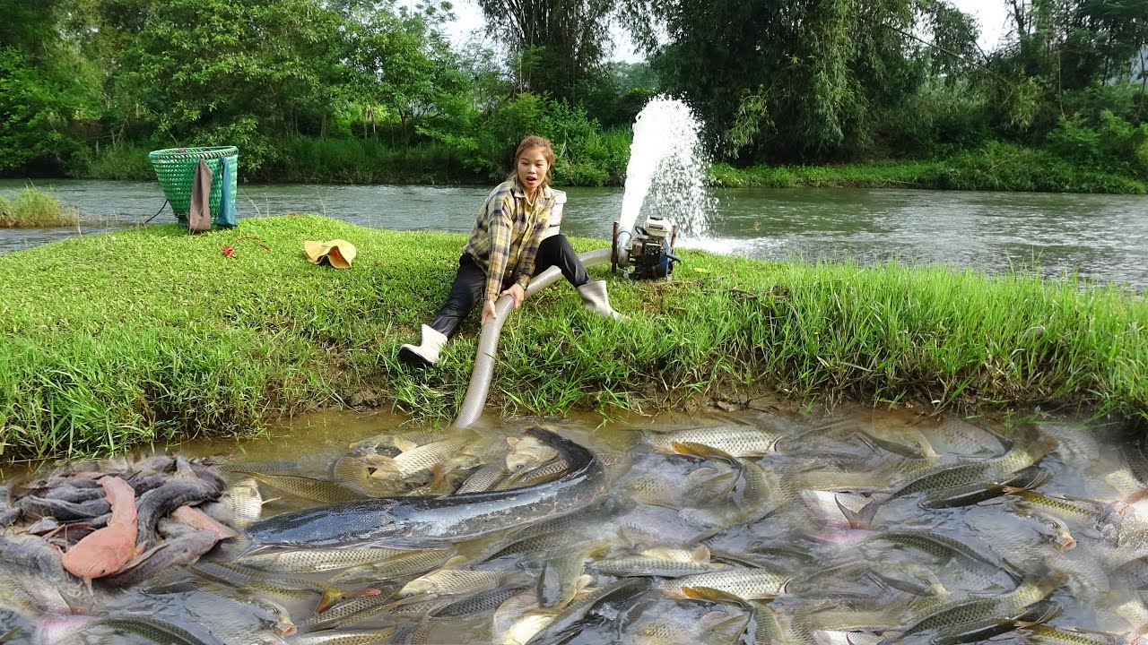 TOP VIDEOS: Survival in the rainforest, Survival fishing - Unique ...