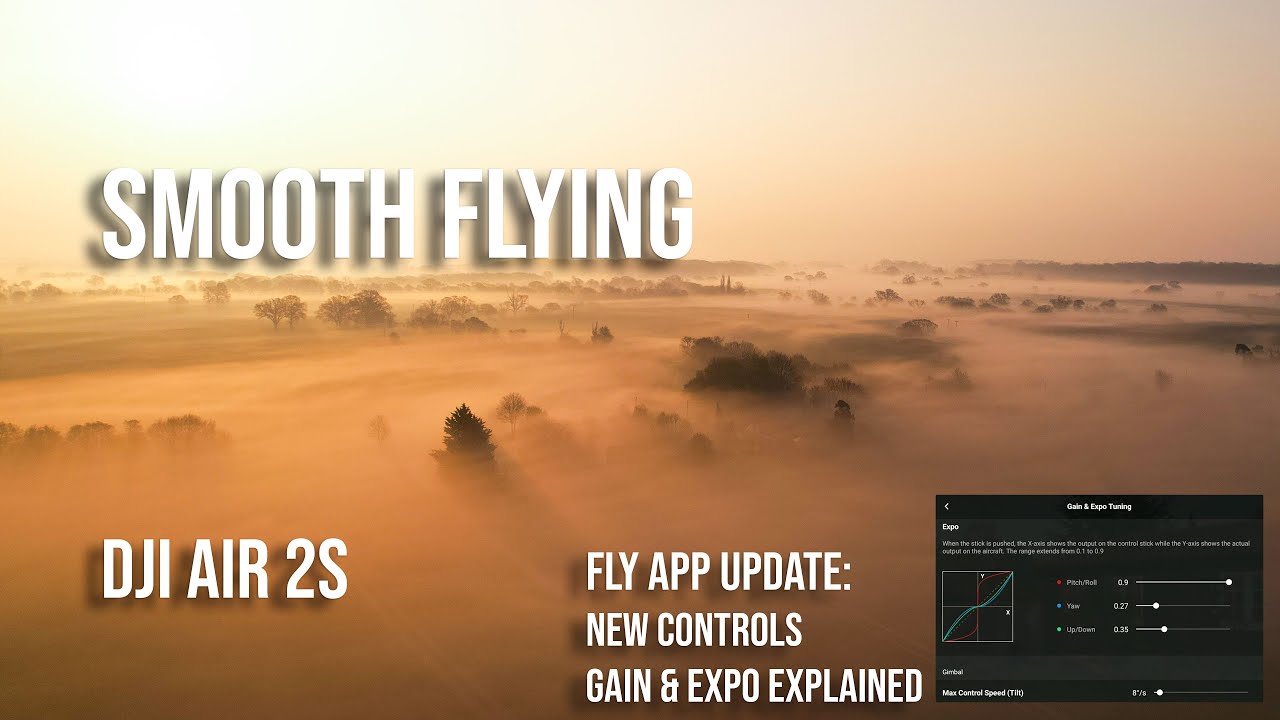 DJI Fly App: New Settings for Smoother Flying - Expo & Gain Explained ...