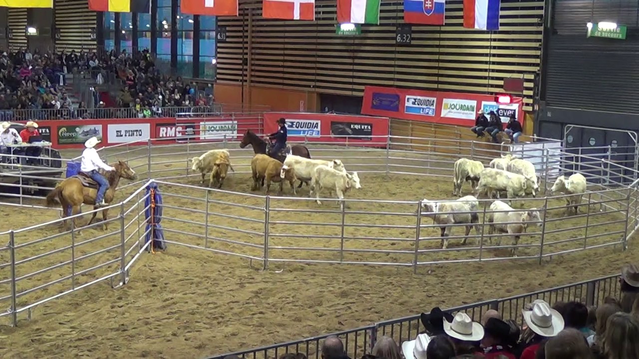 2016-10-29 MASTER RANCH SORTING EQUITA LYON - YouTube