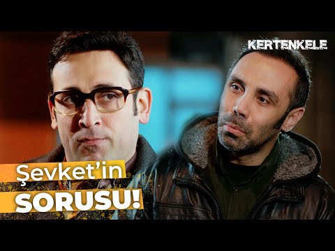 Şevket'in önemli sorusu... | Kertenkele 🦎 10.Bölüm