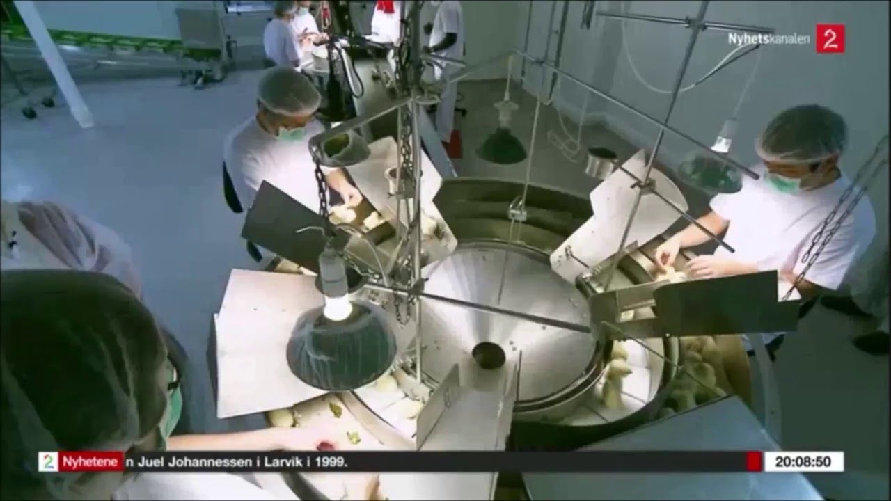 TV2 Nyhetene, 17. mars 2016: Kyllinger kastes levende i kjøttkverna ...