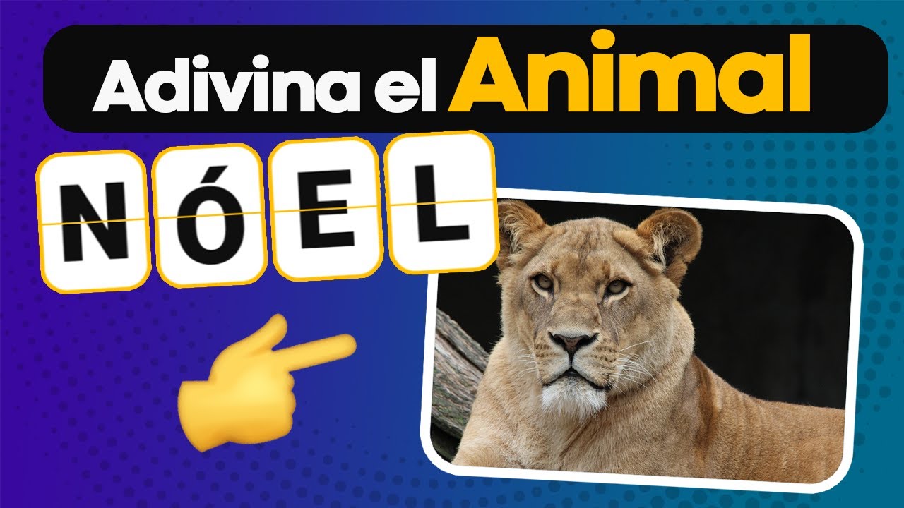 Cuál es el animal con las letras invertidas 🦅🐬🐕 I Adivina el animal ...